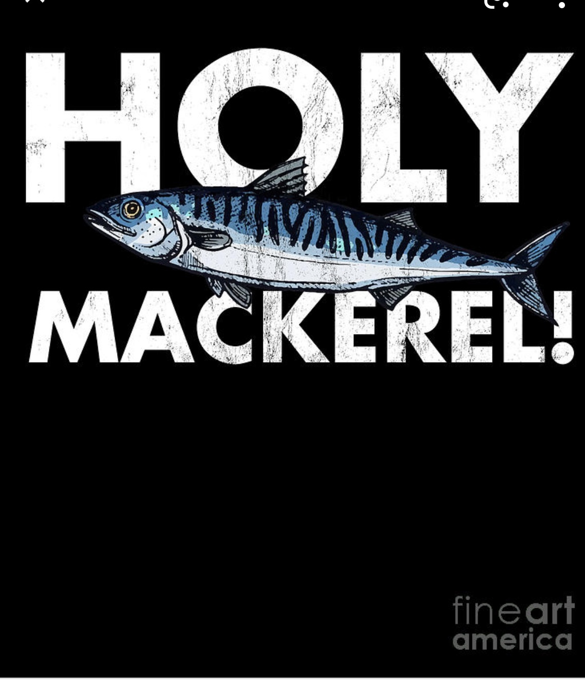 Free Mackerel Trips For Kids!! | Al Gauron