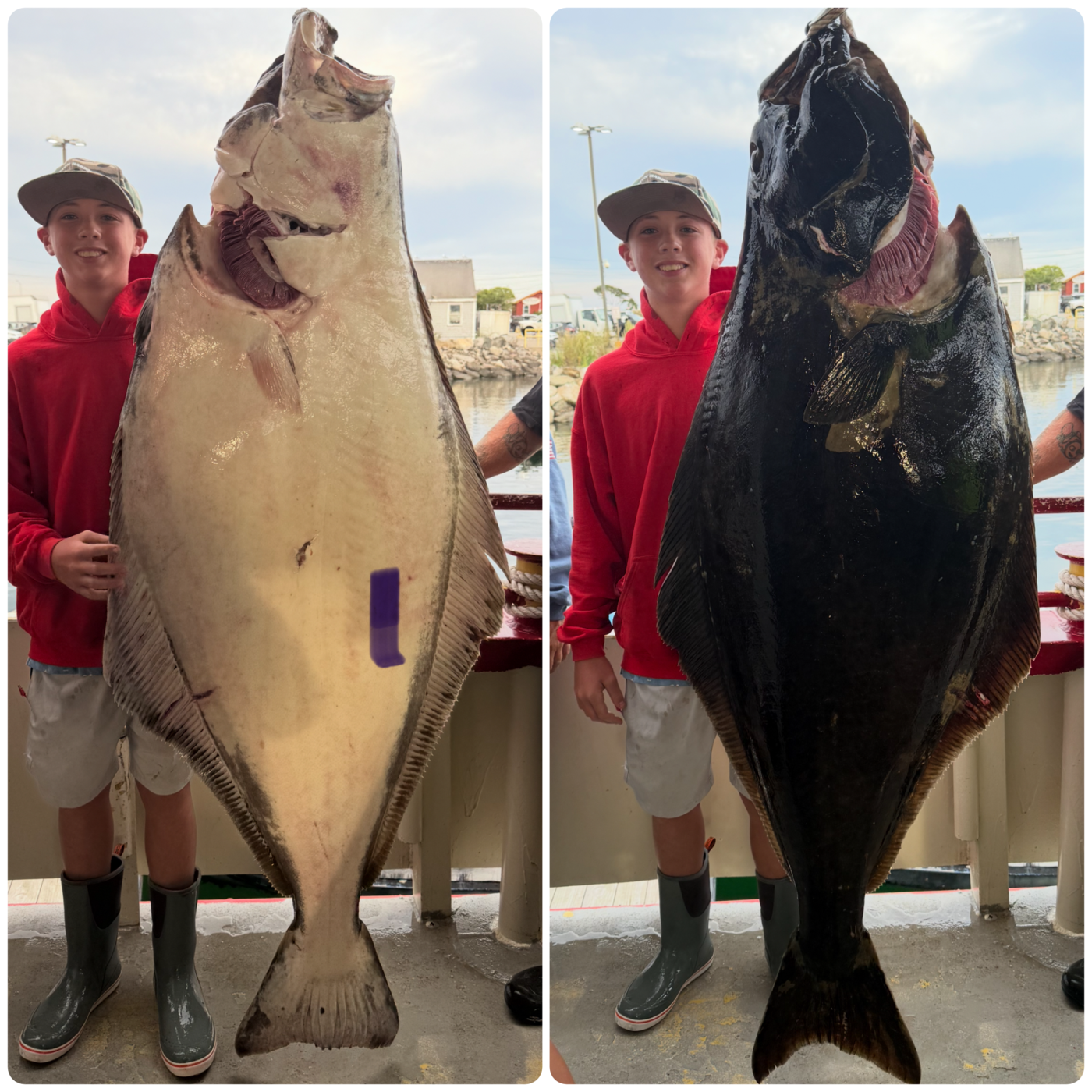BIG FISH ON AMERICAN CLASSIC OVERNIGHT TRIP TO CASHES 08/31 | Al Gauron